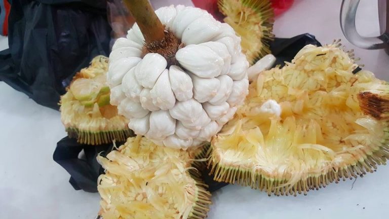 4 Jenis Buah-buahan Unik Yang Hanya Terdapat di Sabah & Sarawak ...