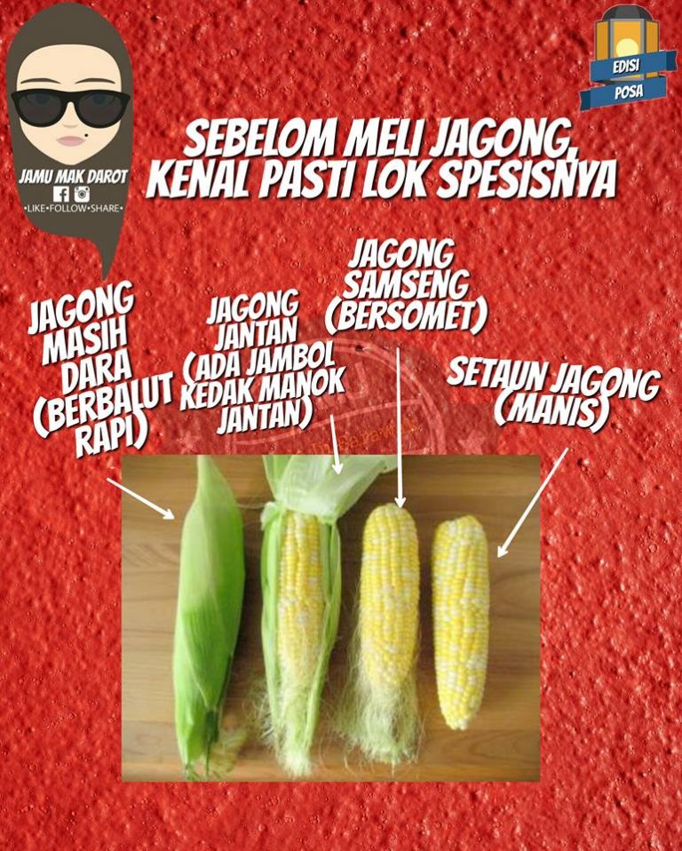 4 Status Facebook Tentang Jagung Yang Paling Win & Buat Kamu Teruja ...